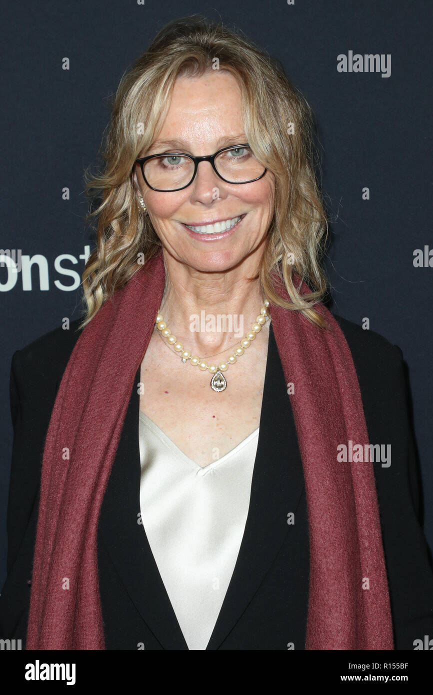 Amazon Studio's 'Beautiful Boy' Los Angeles Premiere held at Samuel ...