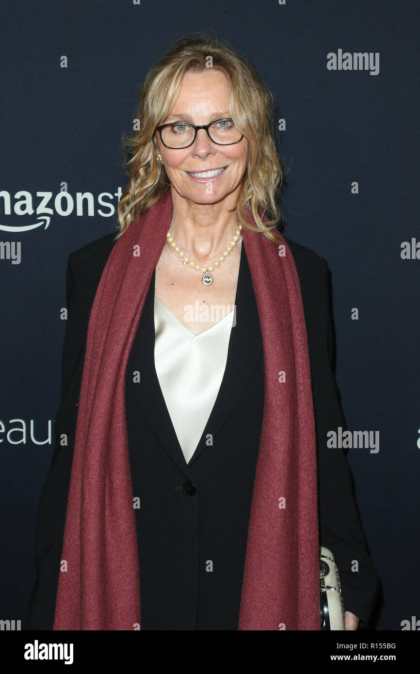 Amazon Studio's 'Beautiful Boy' Los Angeles Premiere held at Samuel ...