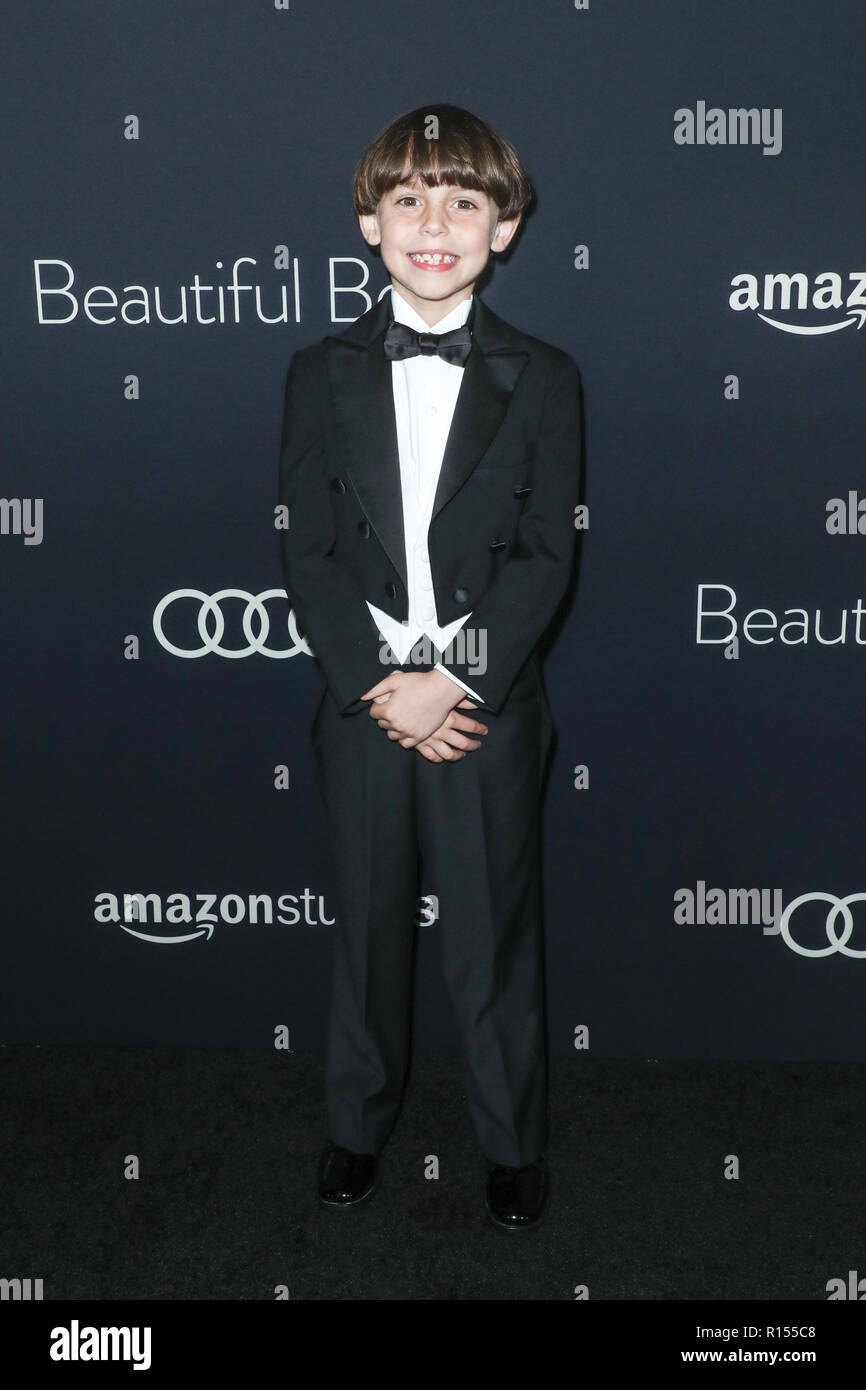 Amazon Studio's 'Beautiful Boy' Los Angeles Premiere held at Samuel ...