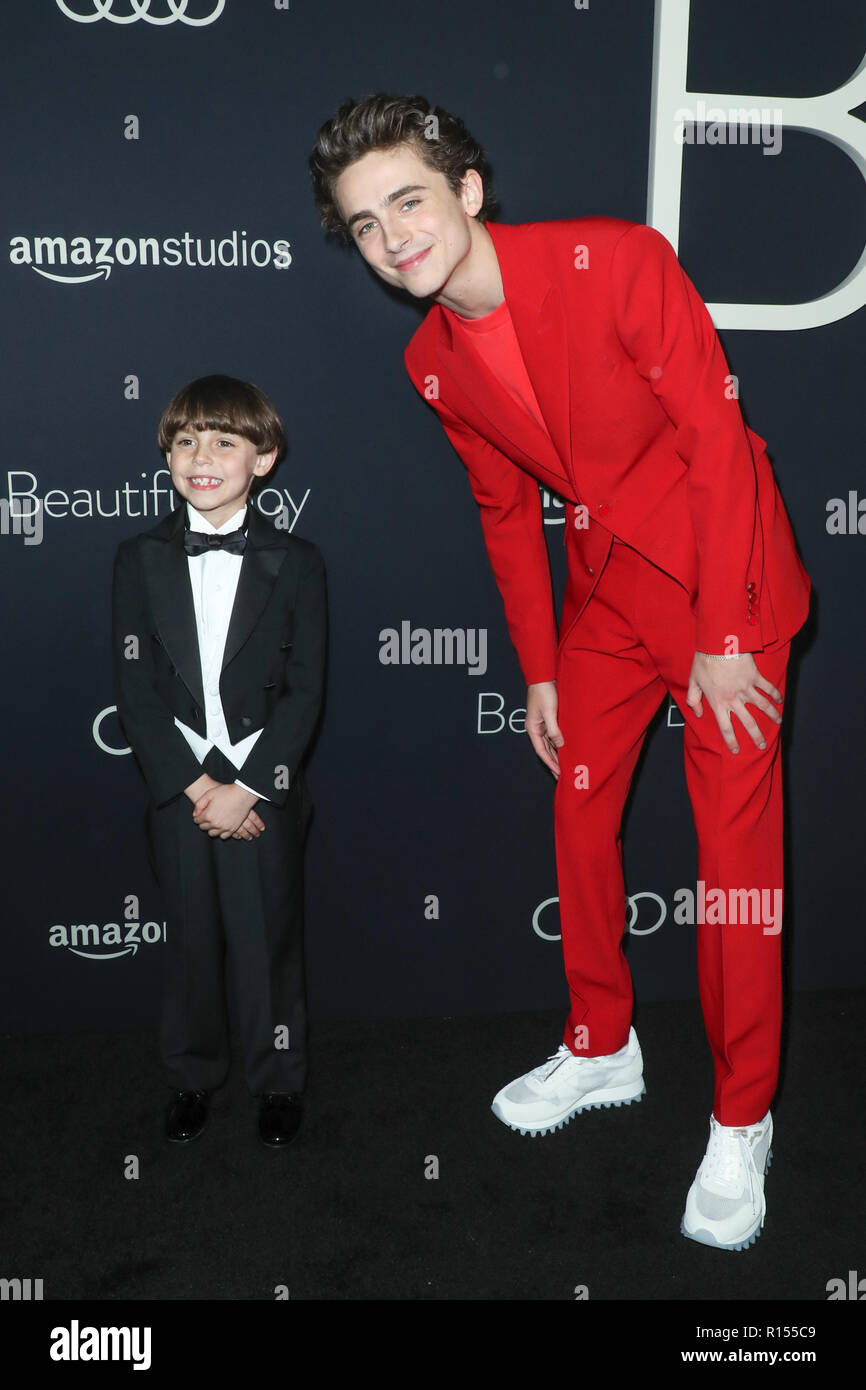 Amazon Studio's 'Beautiful Boy' Los Angeles Premiere held at Samuel ...
