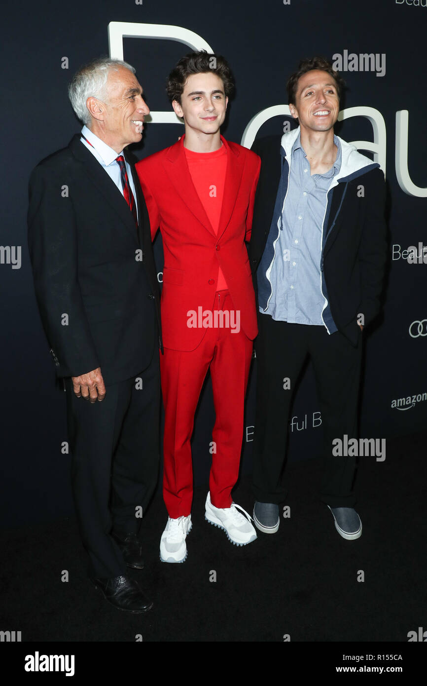 Amazon Studio's 'Beautiful Boy' Los Angeles Premiere held at Samuel ...
