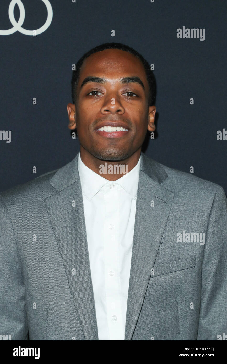 Amazon Studio's 'Beautiful Boy' Los Angeles Premiere held at Samuel ...