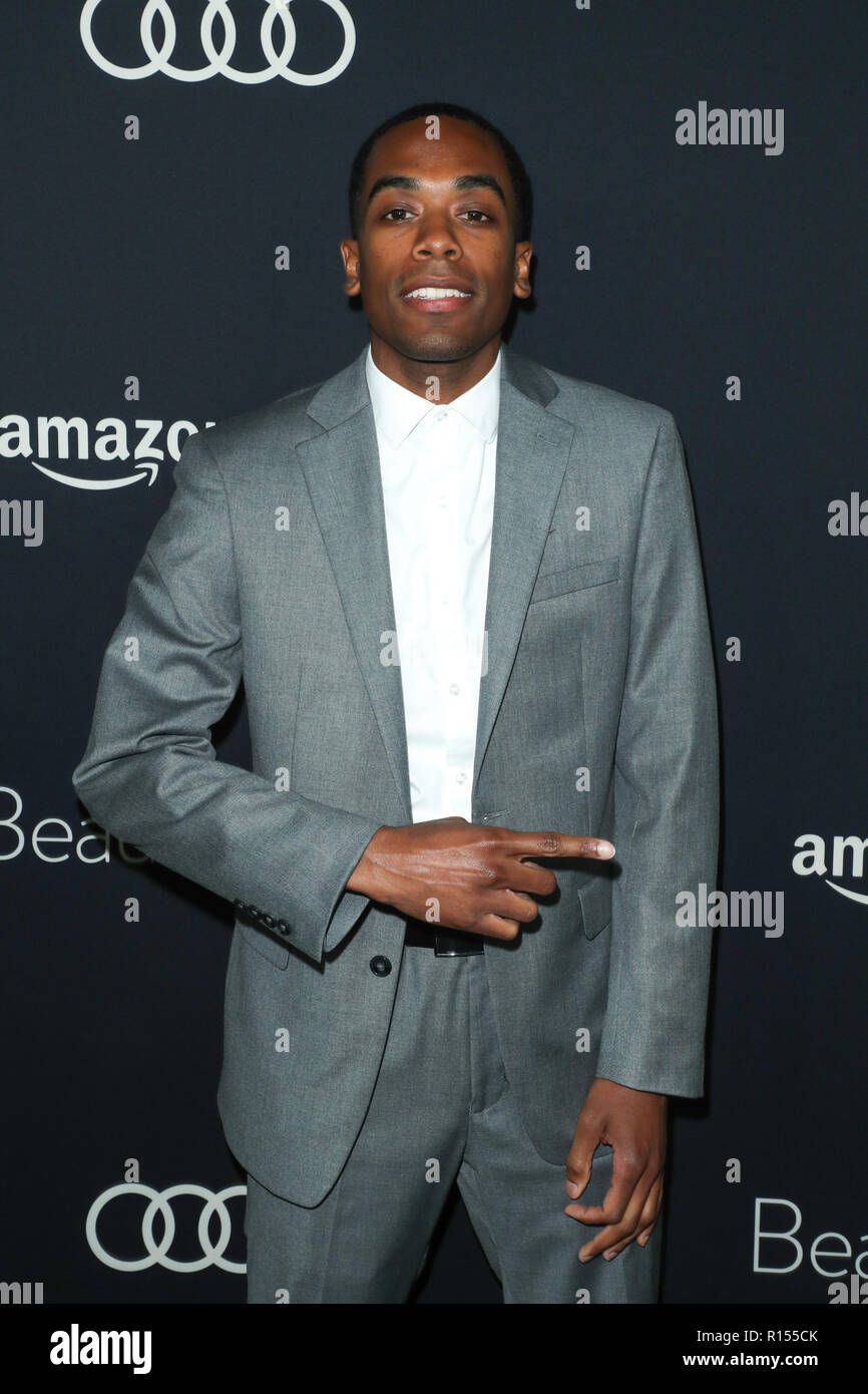 Amazon Studio's 'Beautiful Boy' Los Angeles Premiere held at Samuel ...