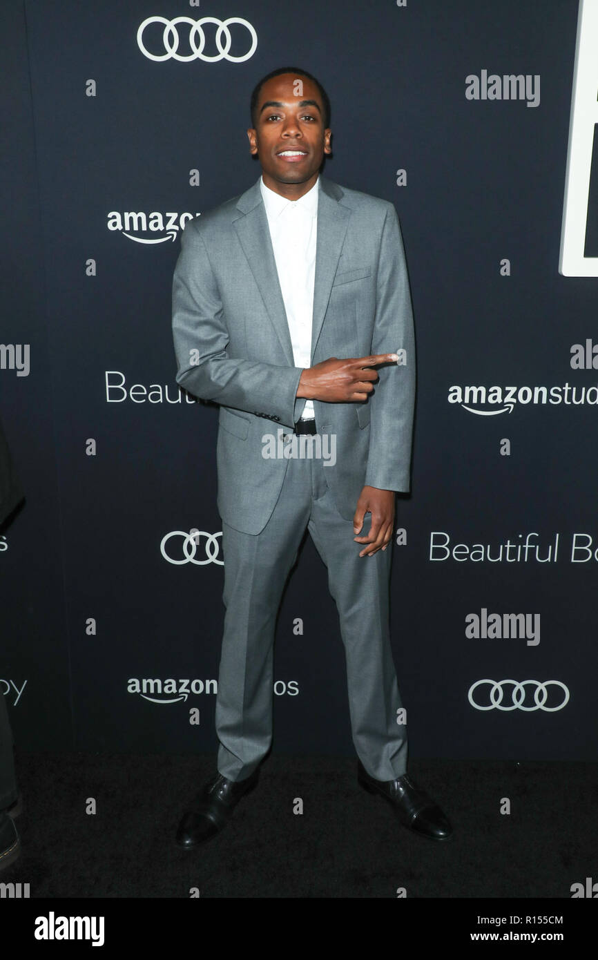 Amazon Studio's 'Beautiful Boy' Los Angeles Premiere held at Samuel ...