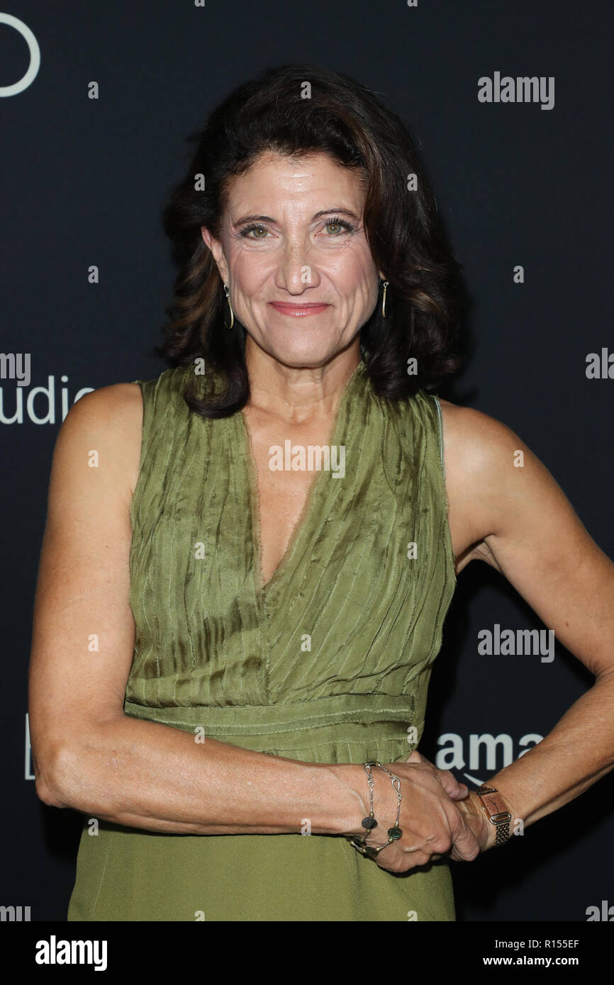 Amazon Studio's 'Beautiful Boy' Los Angeles Premiere held at Samuel ...