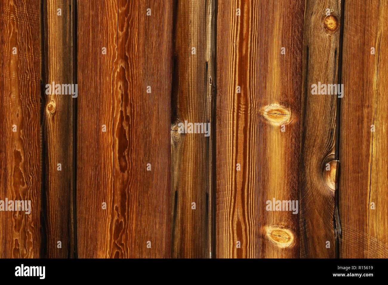 Wood texture. Surface of teak wood background for design and decoration ...
