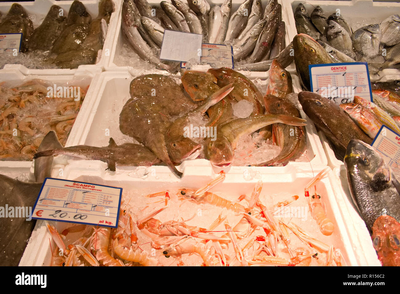 Fish market with fresh various fishes, bream, dentex, sole, bass ...