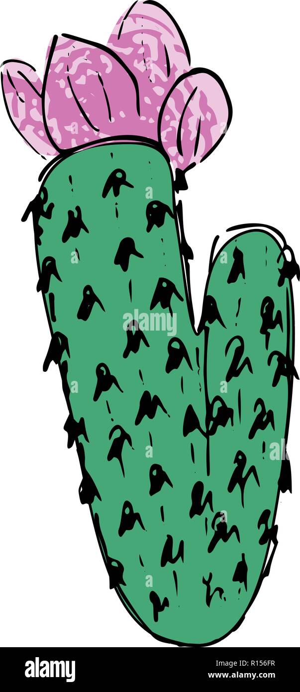 colored cactus, hand drawn vector illustration. outline sketch ...
