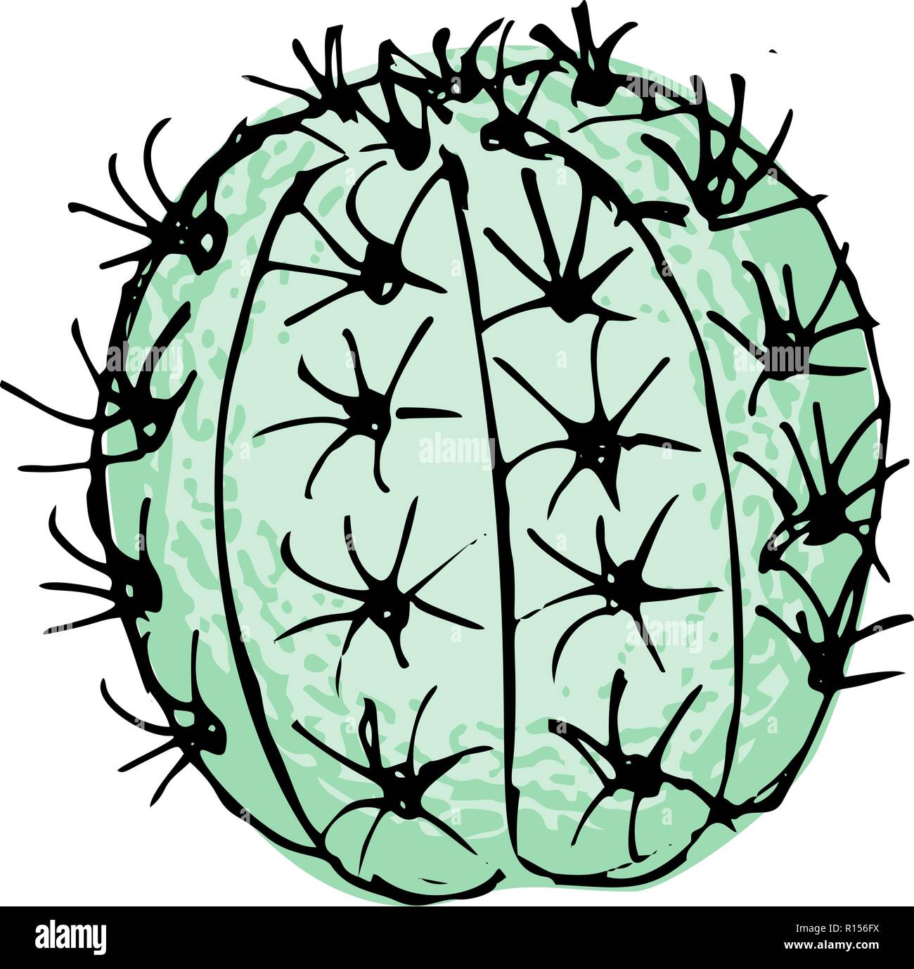 colored cactus, hand drawn vector illustration. outline sketch ...