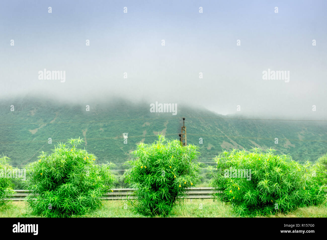 Rainy day in jaipur hi-res stock photography and images - Alamy