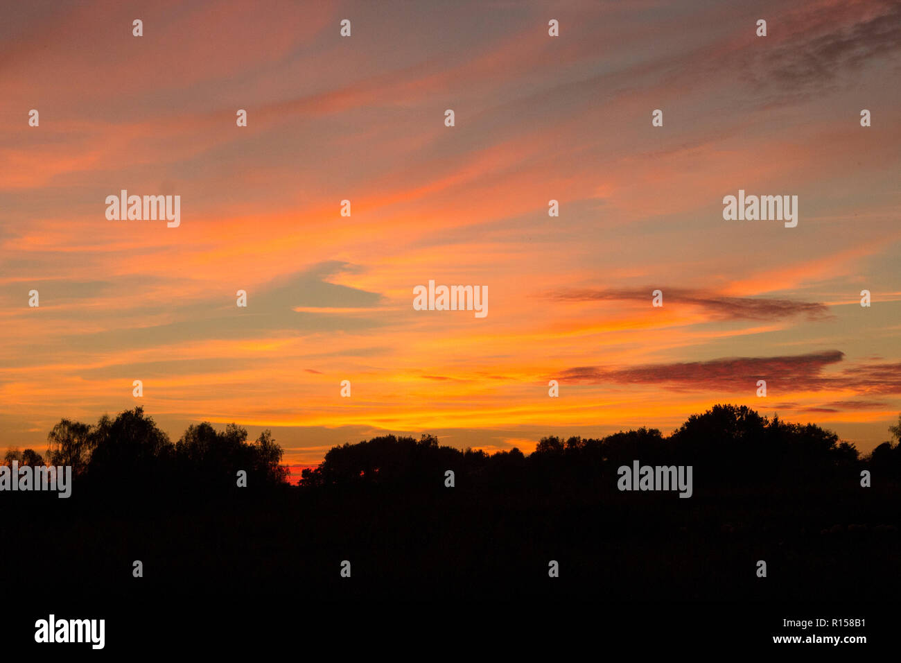 dark sunset with crimson clouds in sun beams. Scarlet decline above ...