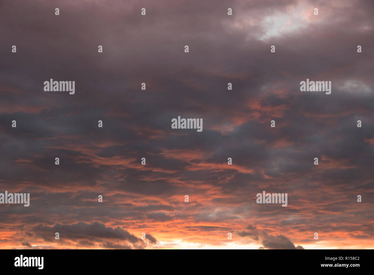 Evening sunset with beautiful pink picturesque clouds. dark sunset with ...