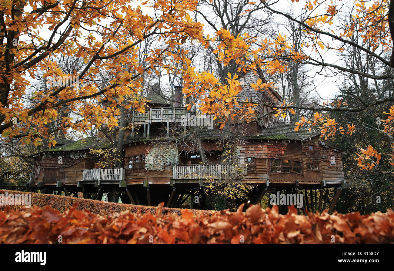 Autumn colours surround the Alnwick Garden Tree House in Alnwick ...