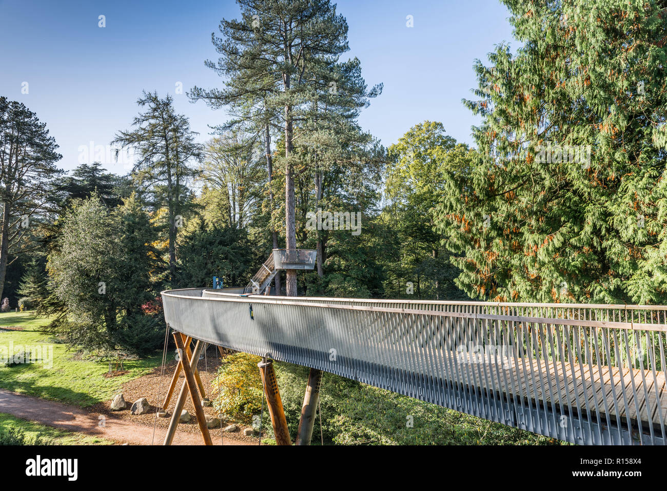 The Tree Top Walk at Westonbirt Arboretum Stock Photo - Alamy