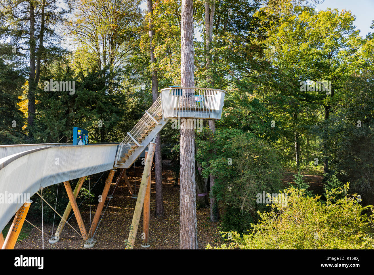 Tree top walk autumn uk hi-res stock photography and images - Alamy