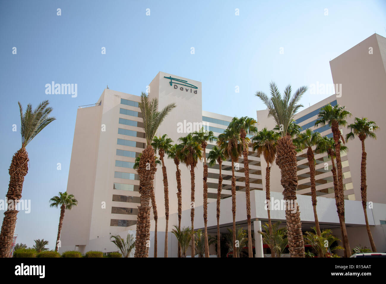 David Dead Sea Resort and Spa Hotel at the Dead Sea in Israel Stock ...