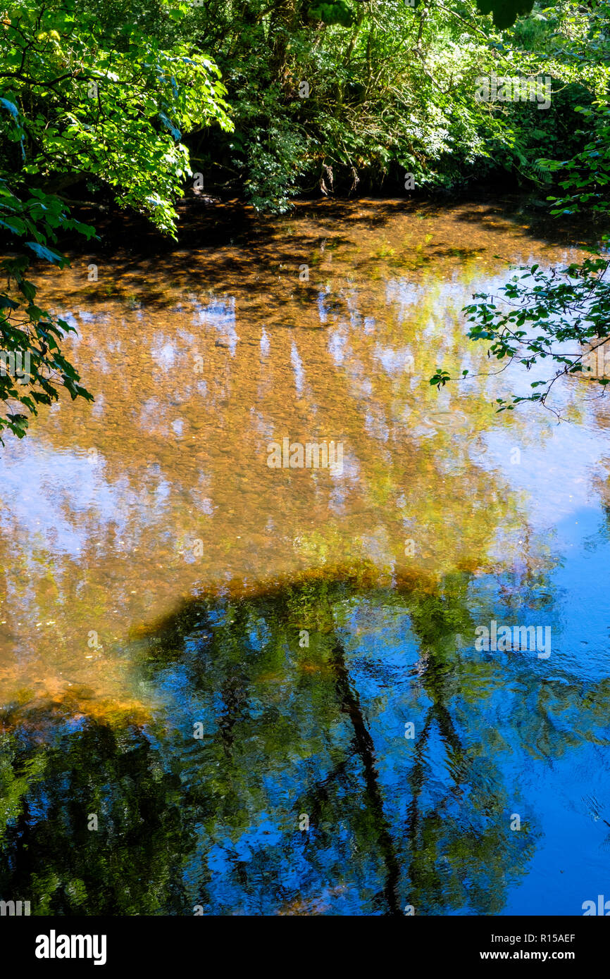 Trees overhanging a river hi-res stock photography and images - Alamy