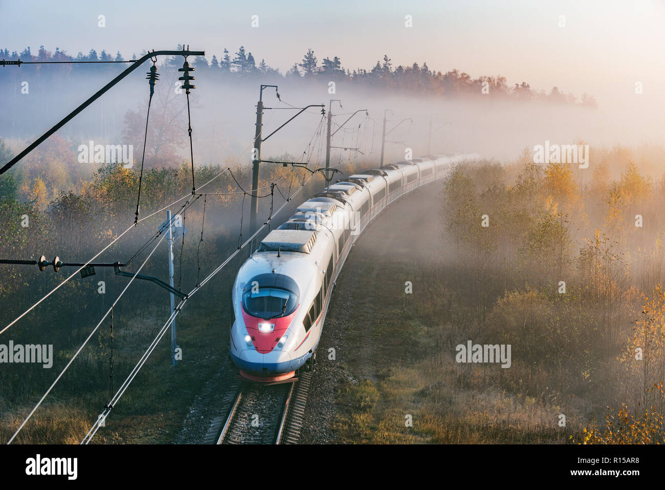 Modern high-speed train approaches to the station at foggy autumn ...