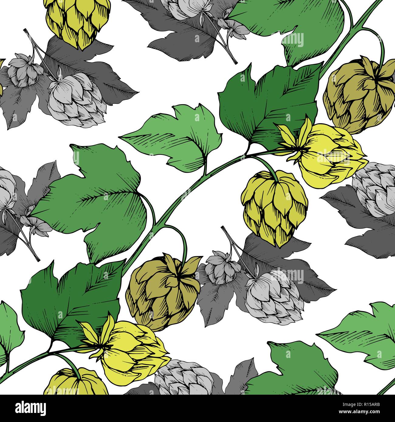 Vector. Black and white engraved humulus ink art. Green leaf. Leaf ...