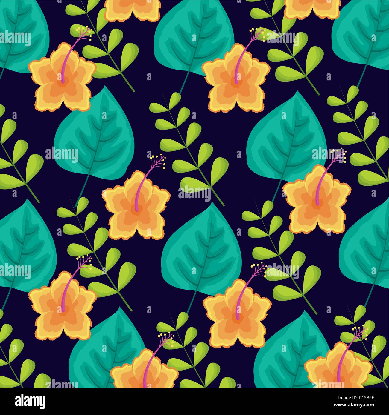 tropical natural hibiscus flowers leaves vector illustration Stock ...