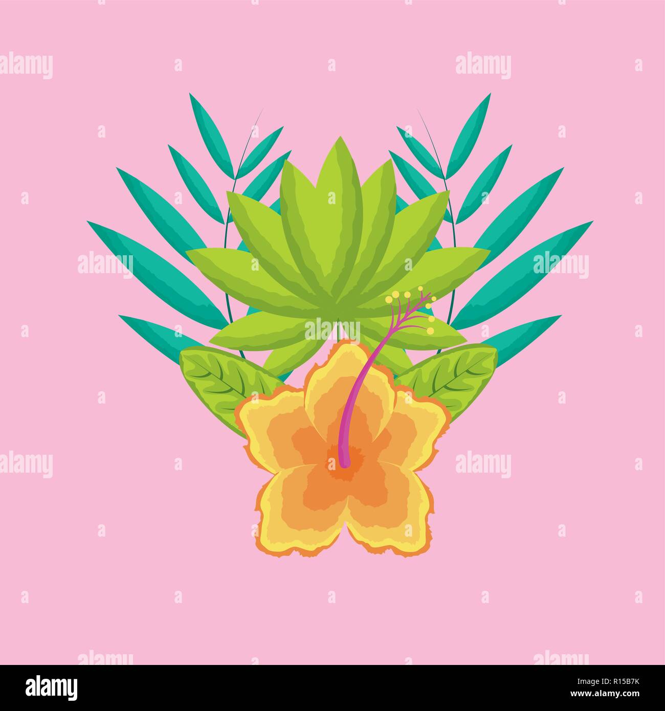 tropical natural hibiscus leaves vector illustration Stock Vector Image ...