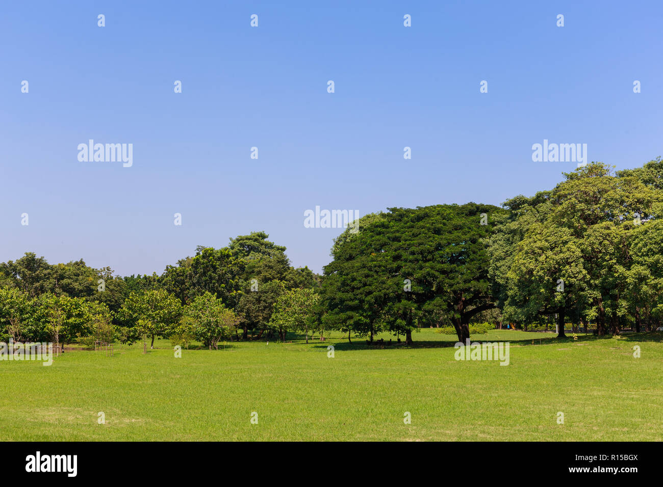 Graden scene hi-res stock photography and images - Alamy