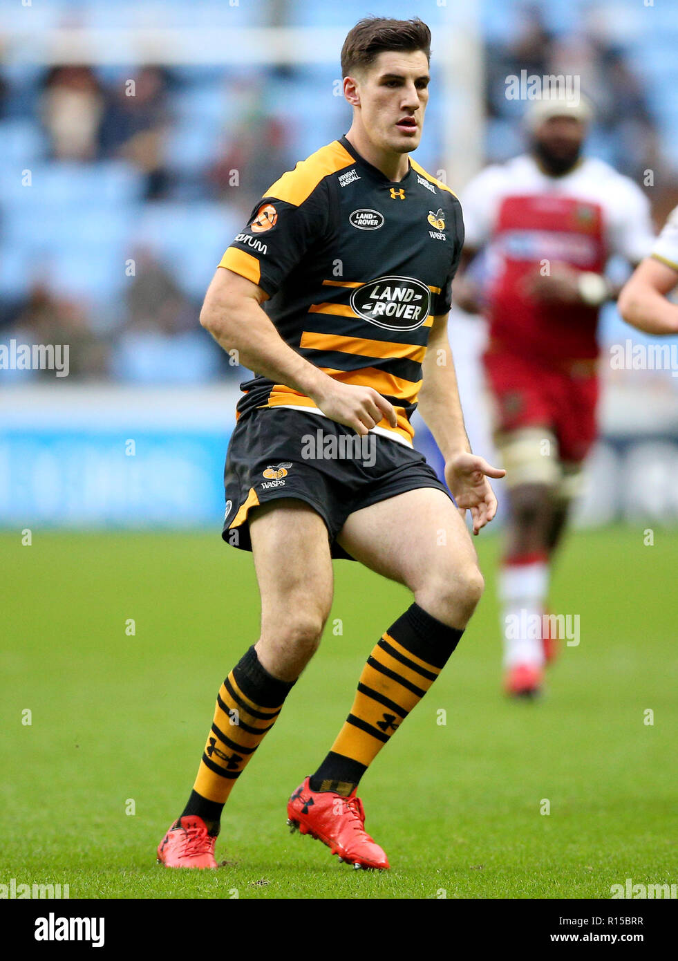 Wasps ross neal hi-res stock photography and images - Alamy