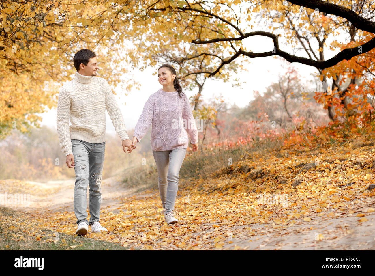 Couple in love in the autumn leaves Stock Photo - Alamy