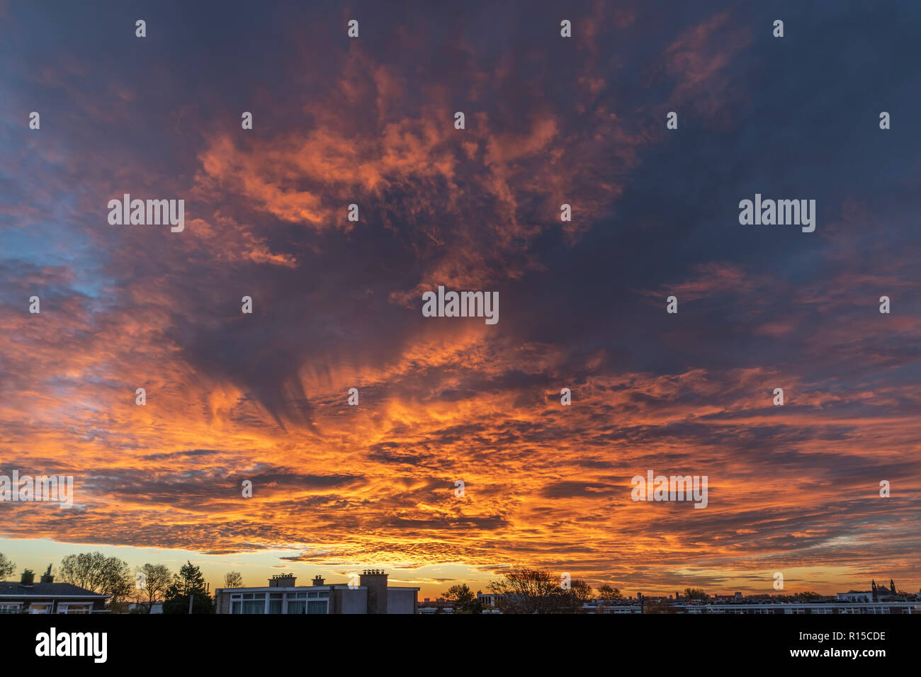 Chaotic landscape of trees hi-res stock photography and images - Alamy