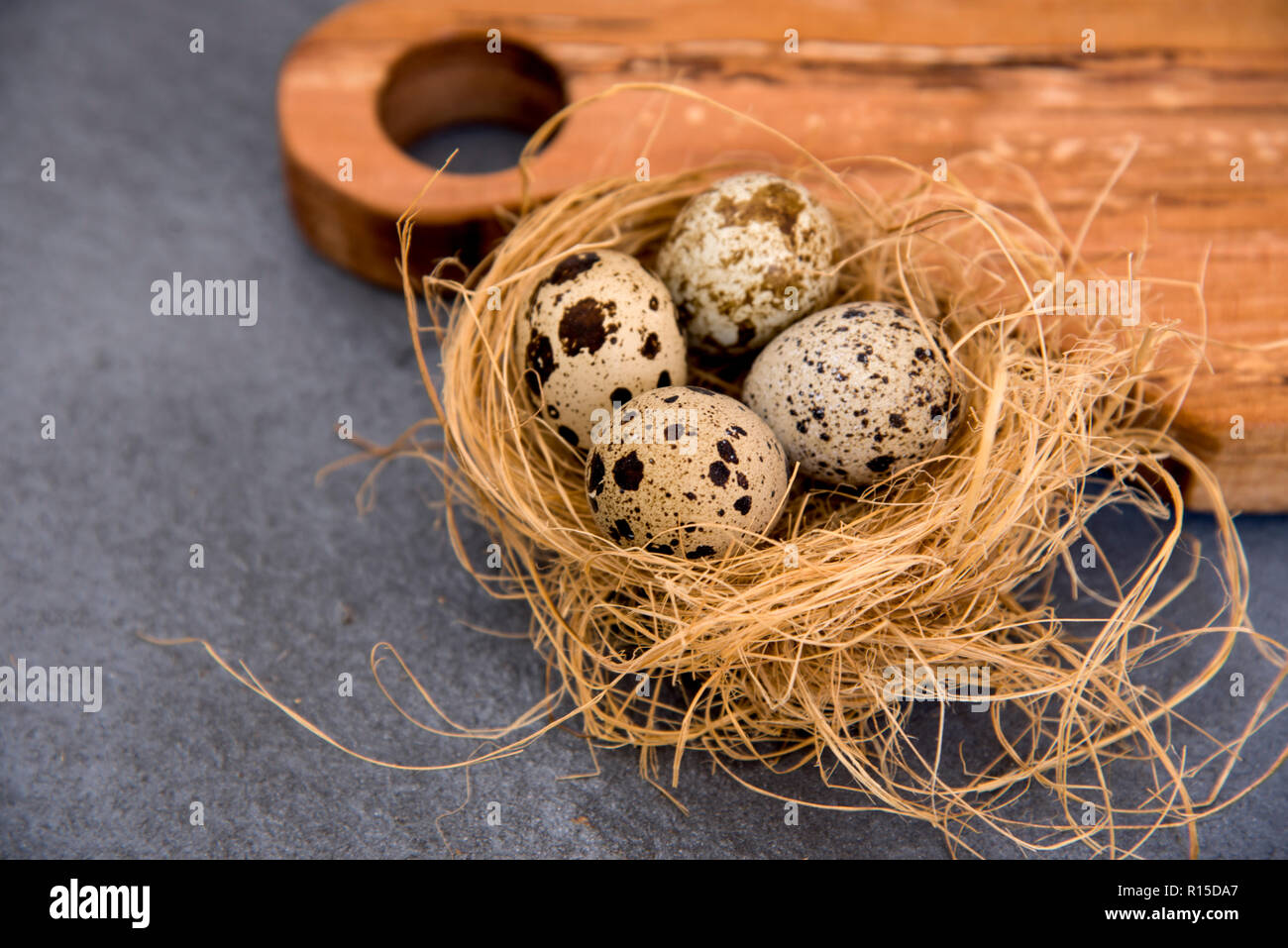 quail eggs in a nest Stock Photo - Alamy