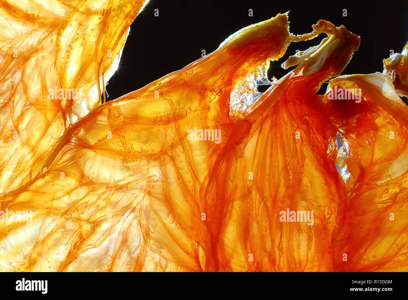 Dry blood hi-res stock photography and images - Alamy