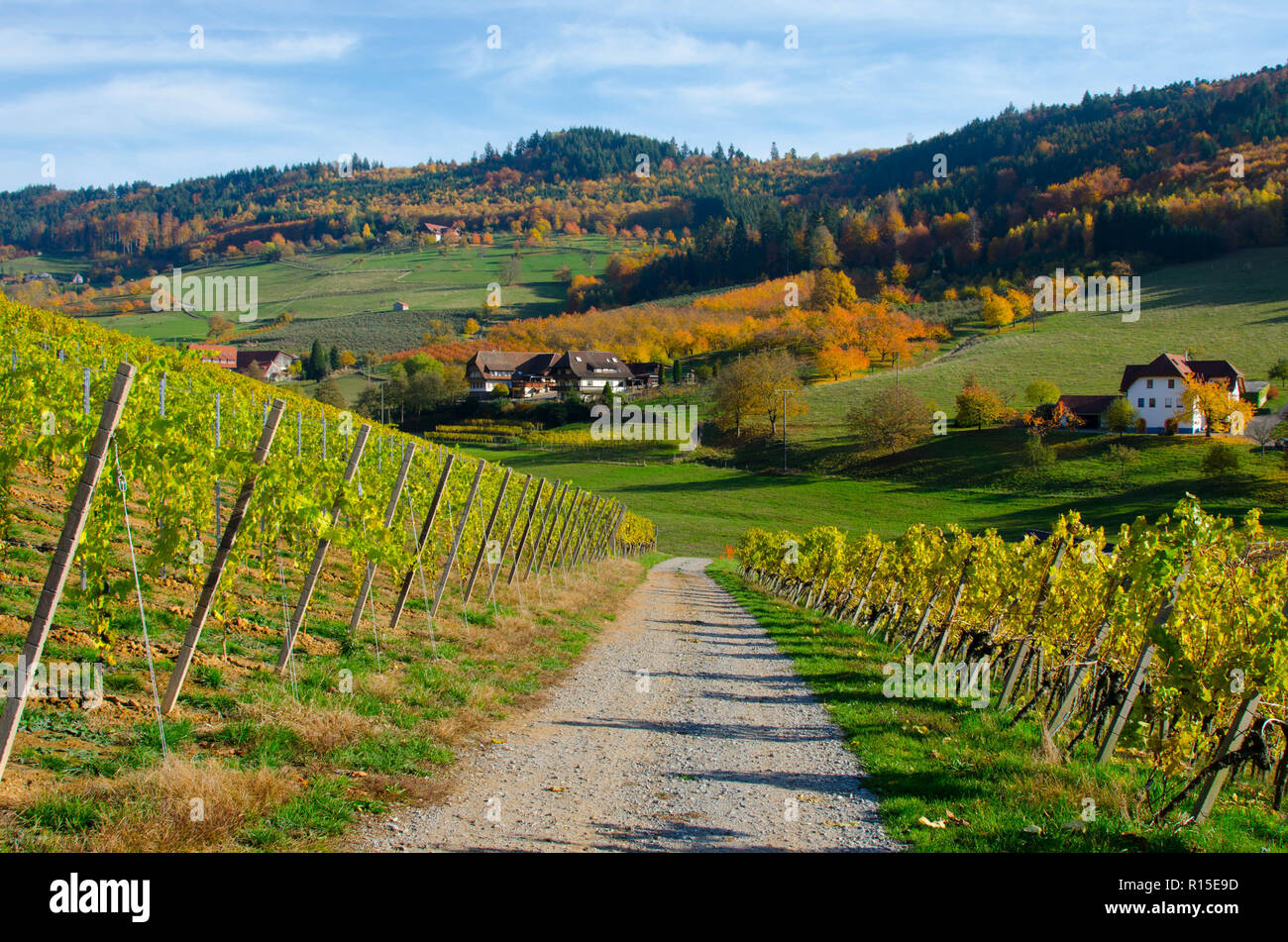 beautiful valley at reichenbach in the black forest in germany Stock ...