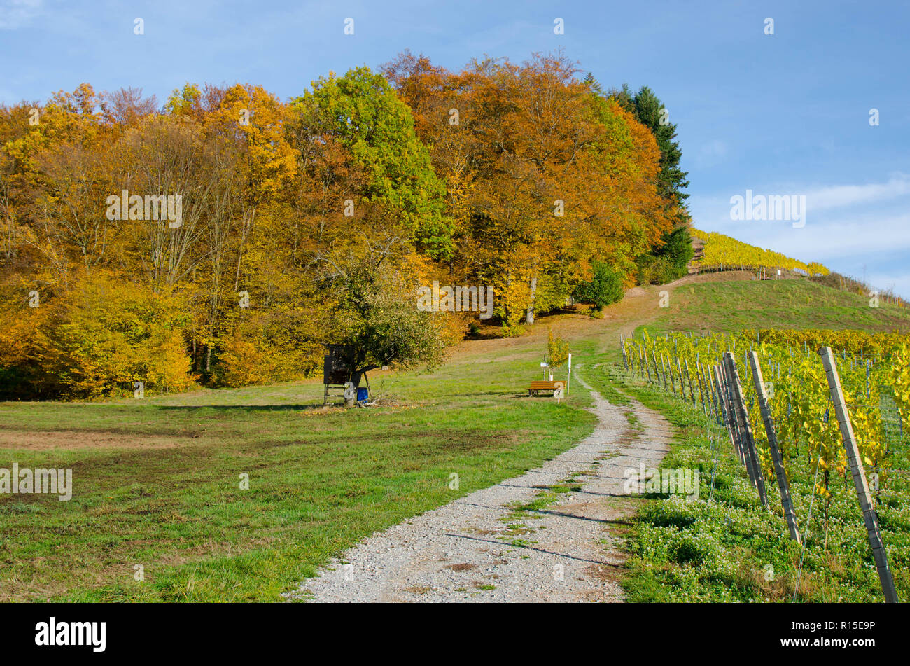 beautiful valley at reichenbach in the black forest in germany Stock ...