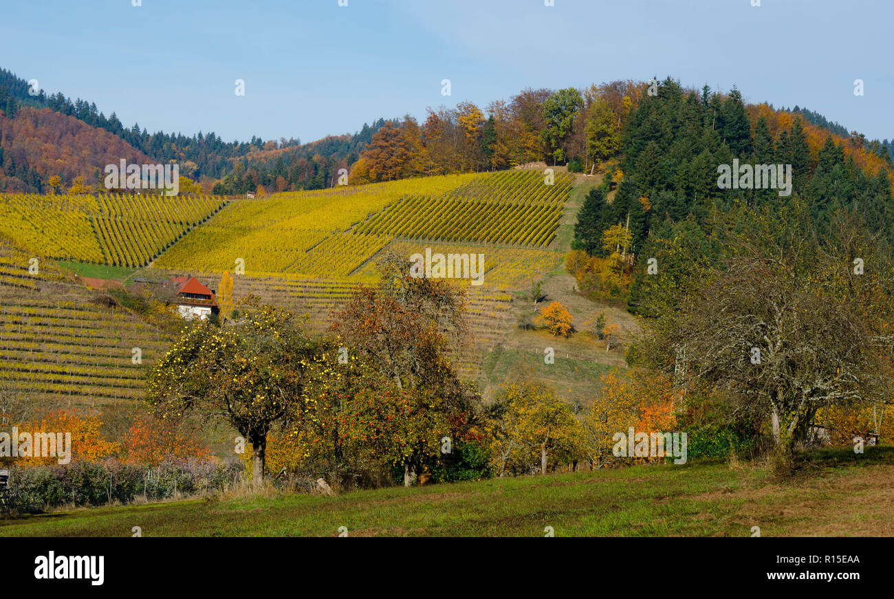 beautiful valley at reichenbach in the black forest in germany Stock ...