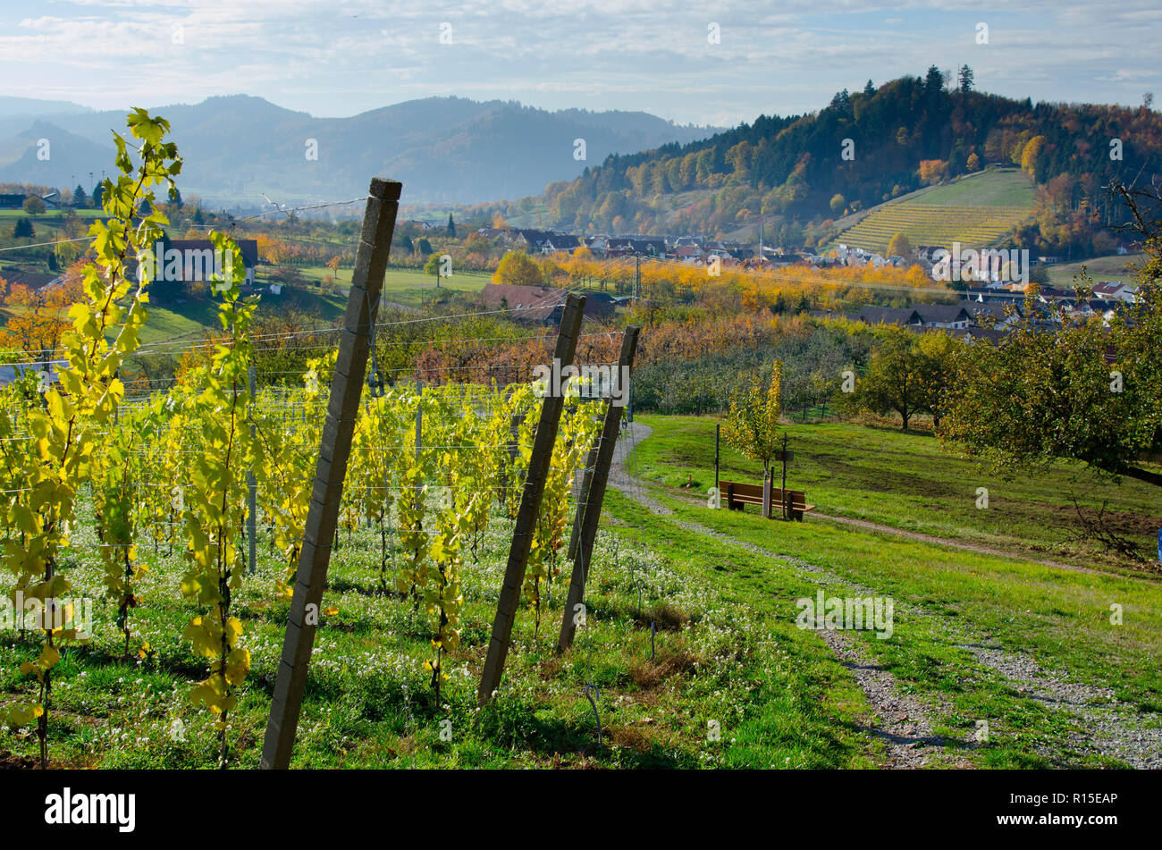 beautiful valley at reichenbach in the black forest in germany Stock ...