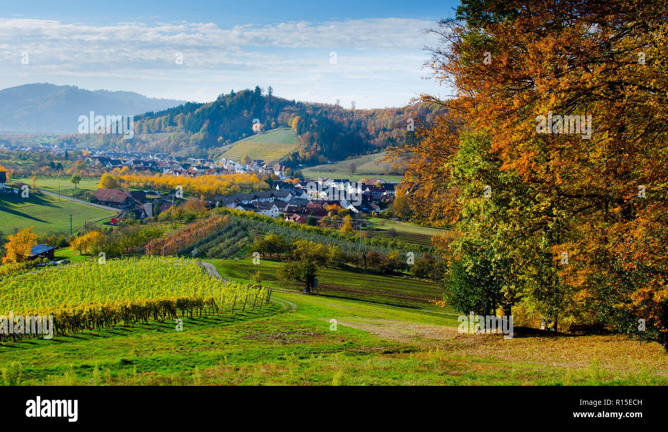 beautiful valley at reichenbach in the black forest in germany Stock ...