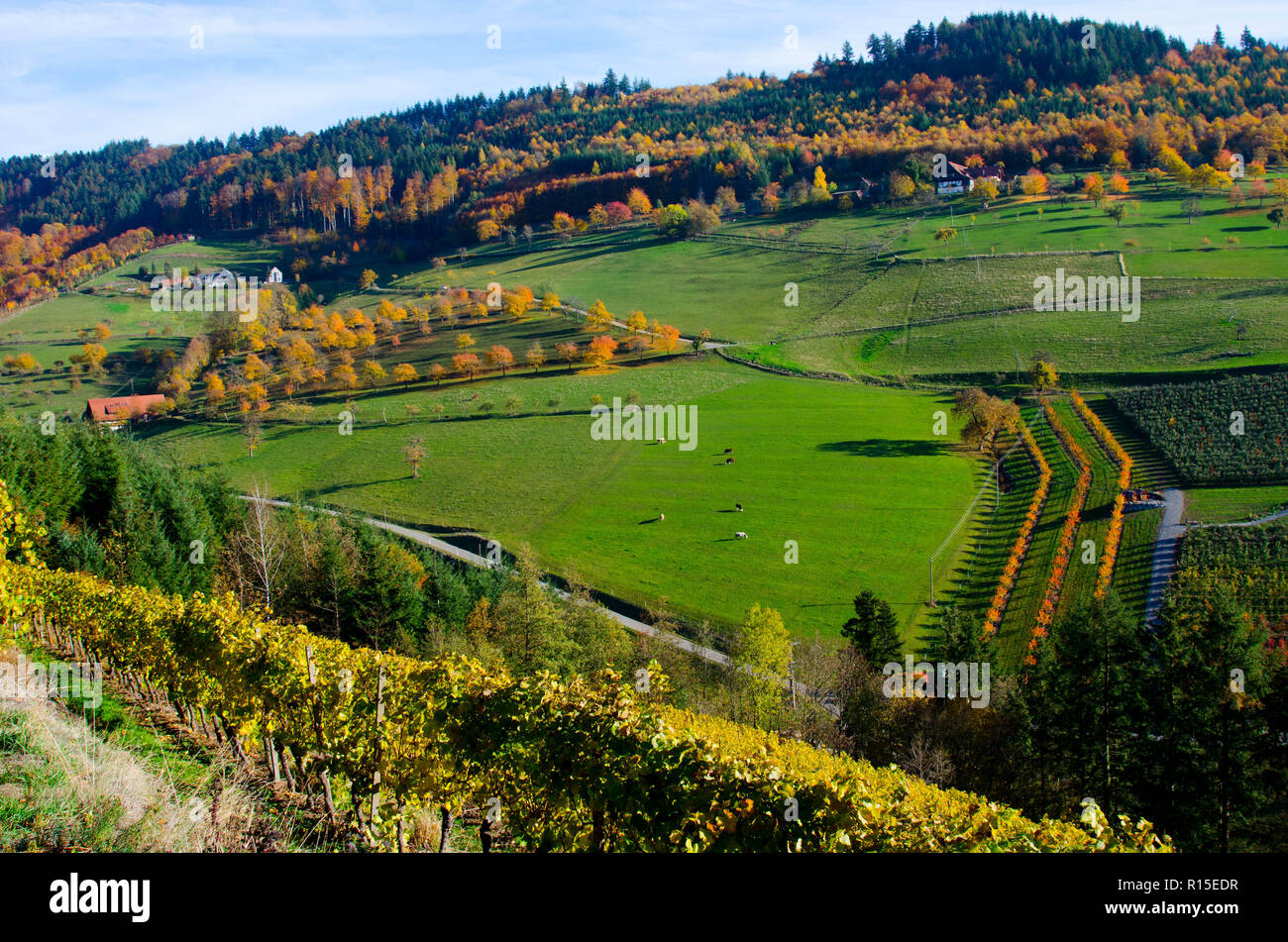 beautiful valley at reichenbach in the black forest in germany Stock ...