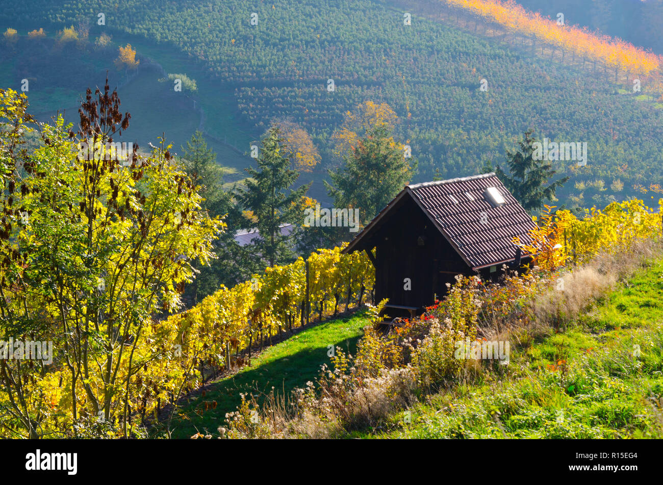 beautiful valley at reichenbach in the black forest in germany Stock ...