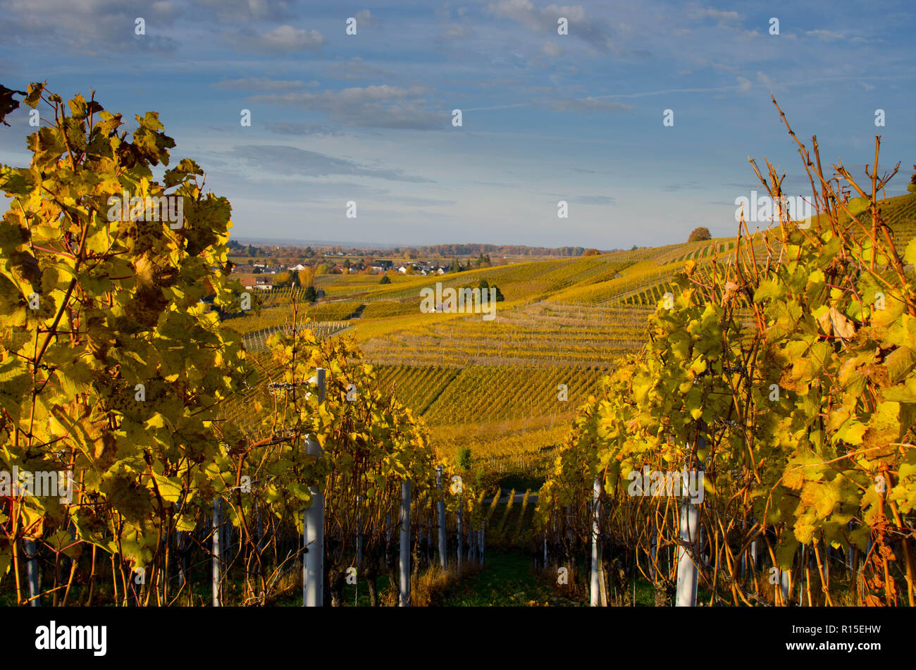 Offenburg germany hi-res stock photography and images - Alamy