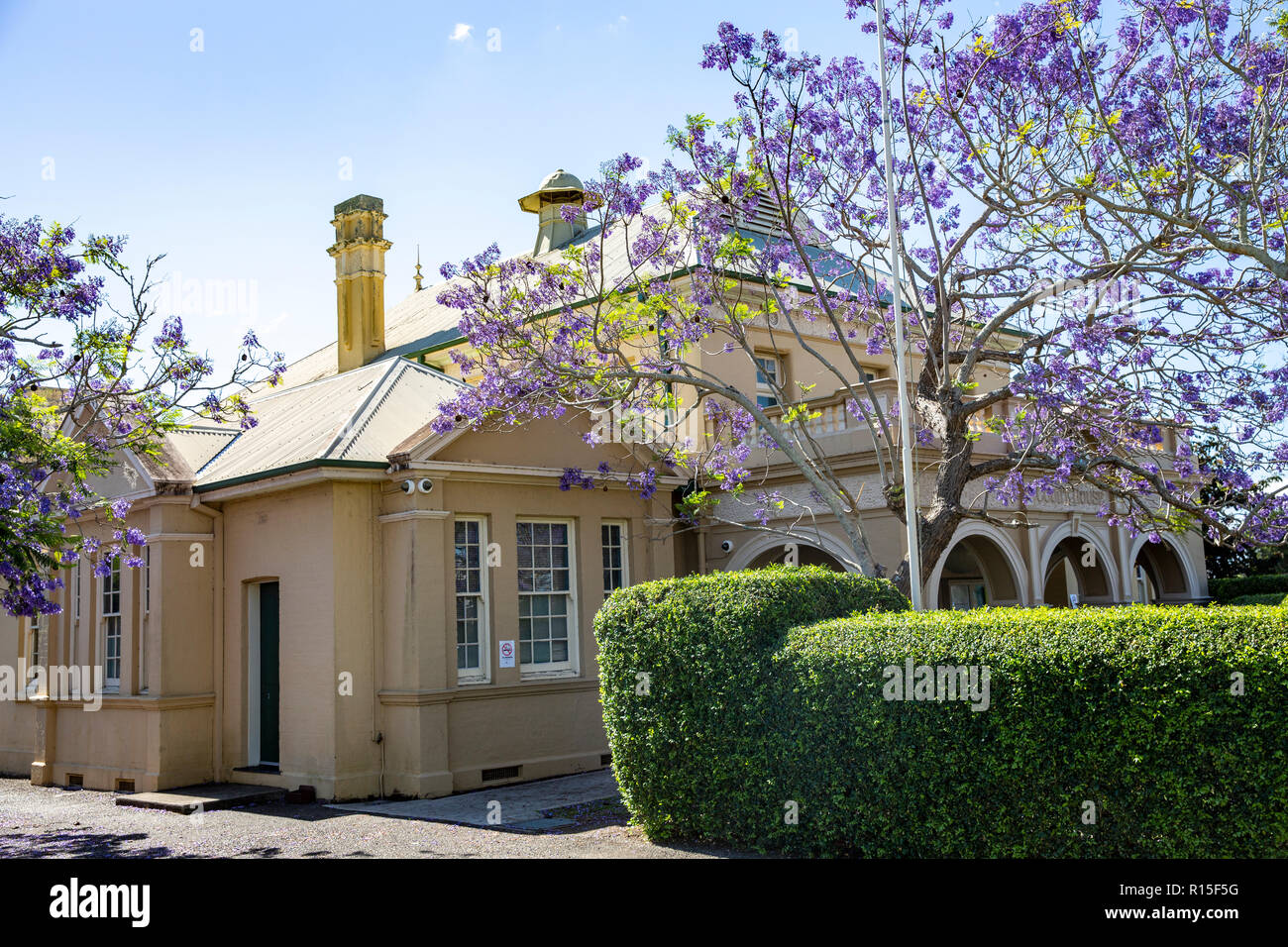 William macleay hi-res stock photography and images - Alamy