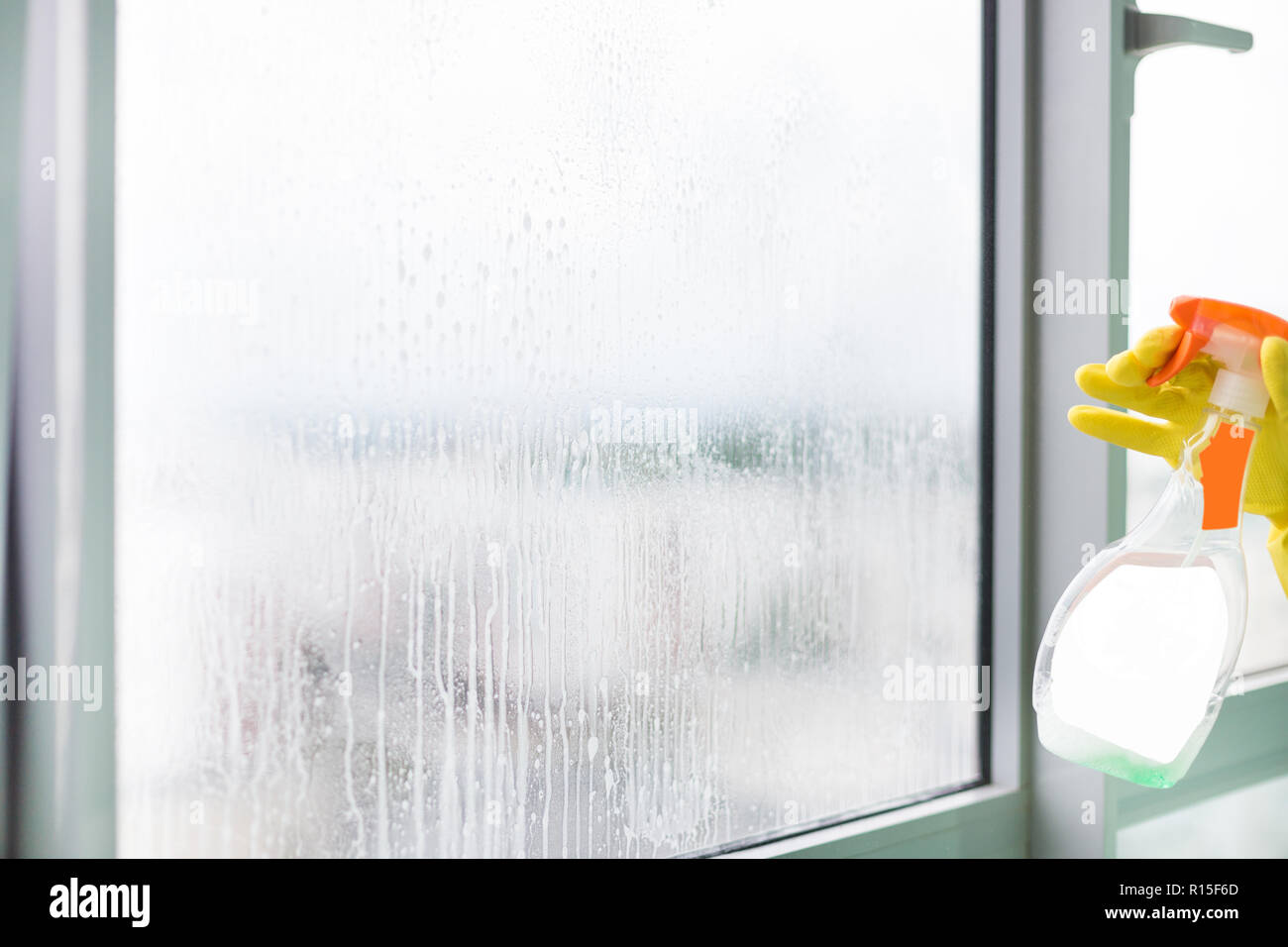 Smiling young woman worker cleaning soap suds on glass window with ...