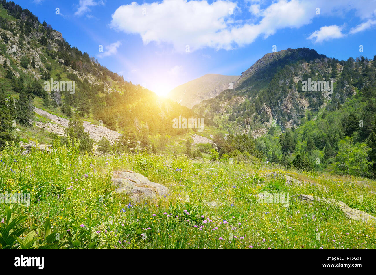 mountains, alpine meadows and sunrise Stock Photo - Alamy