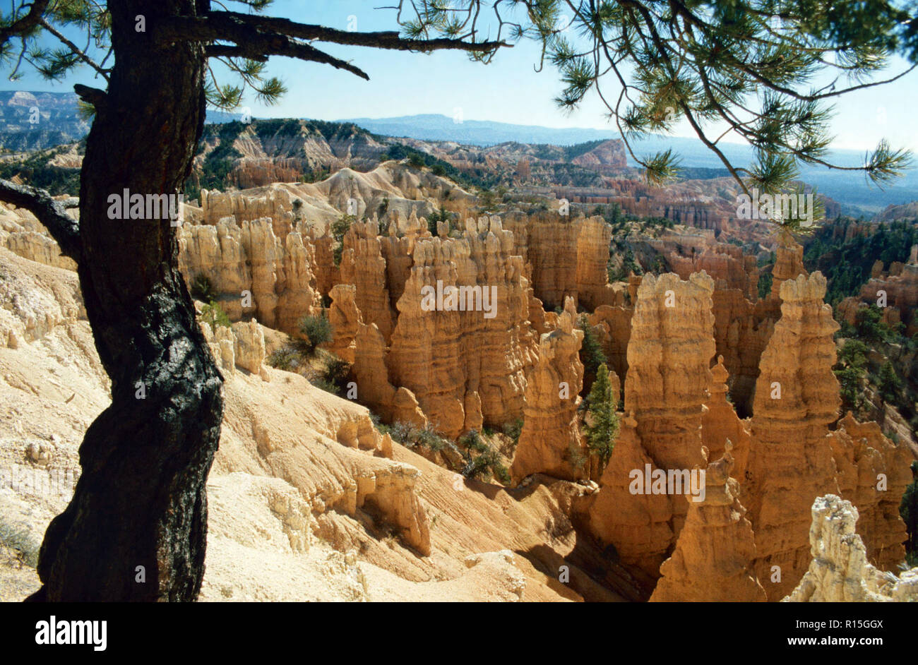 Fairyland hi-res stock photography and images - Alamy