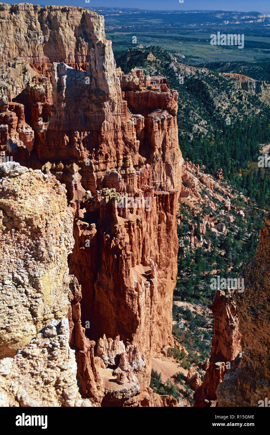 Pariah High Resolution Stock Photography and Images - Alamy