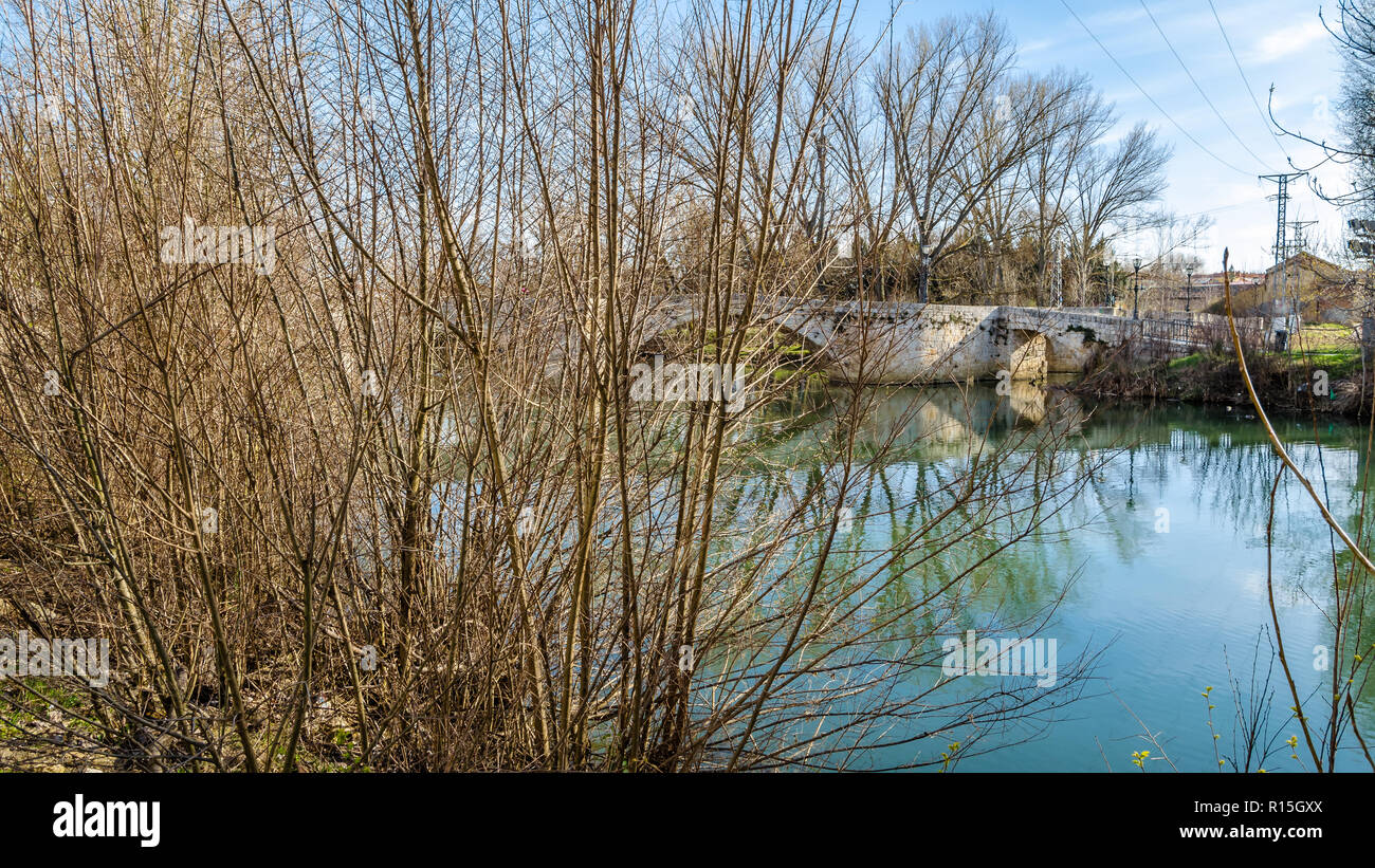 Medieval stone bridge over the Carrion River in Palencia (Castile and ...