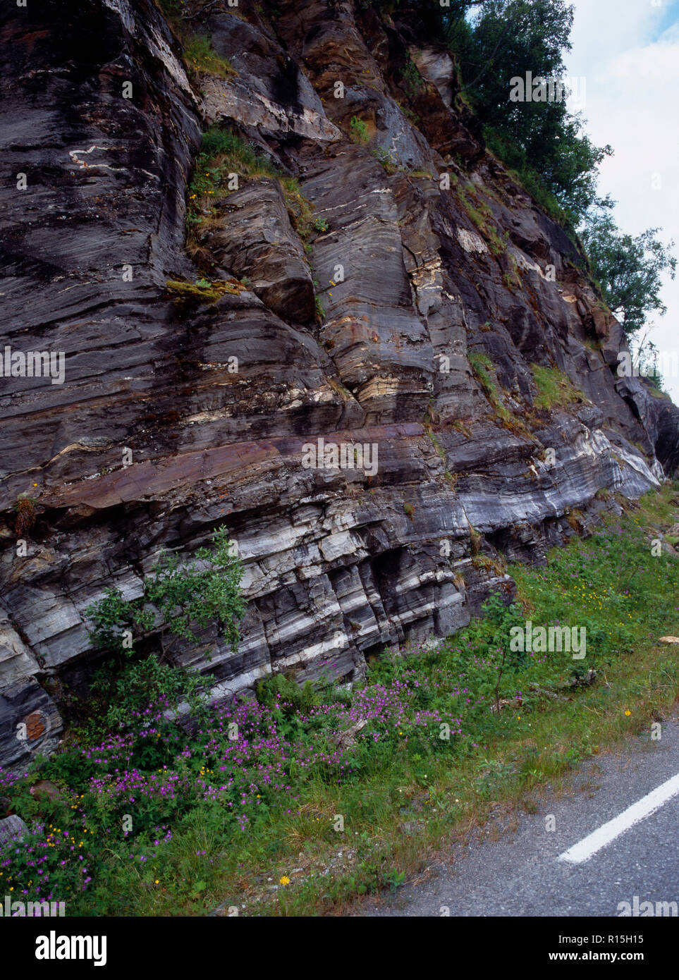 Norway, Troms, Landscape, Roadside rock face showing layering of ...