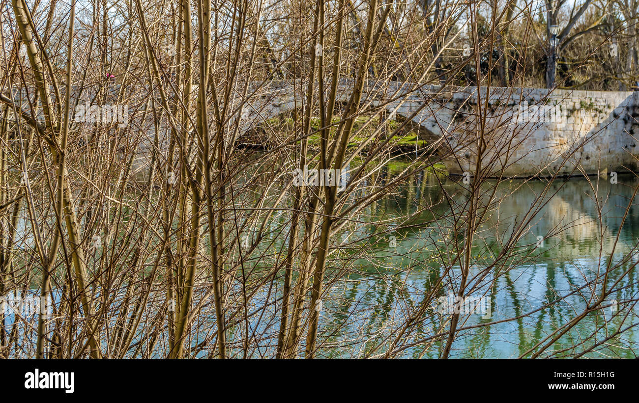 Medieval stone bridge over the Carrion River in Palencia (Castile and ...