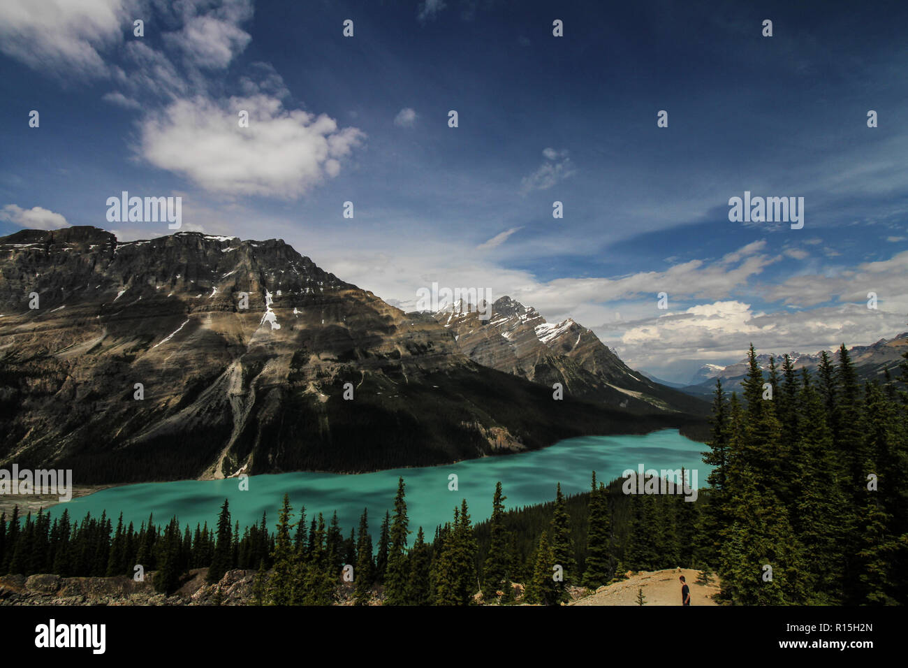 Peyto Lake,Banff National Park, Western Canada Stock Photo - Alamy