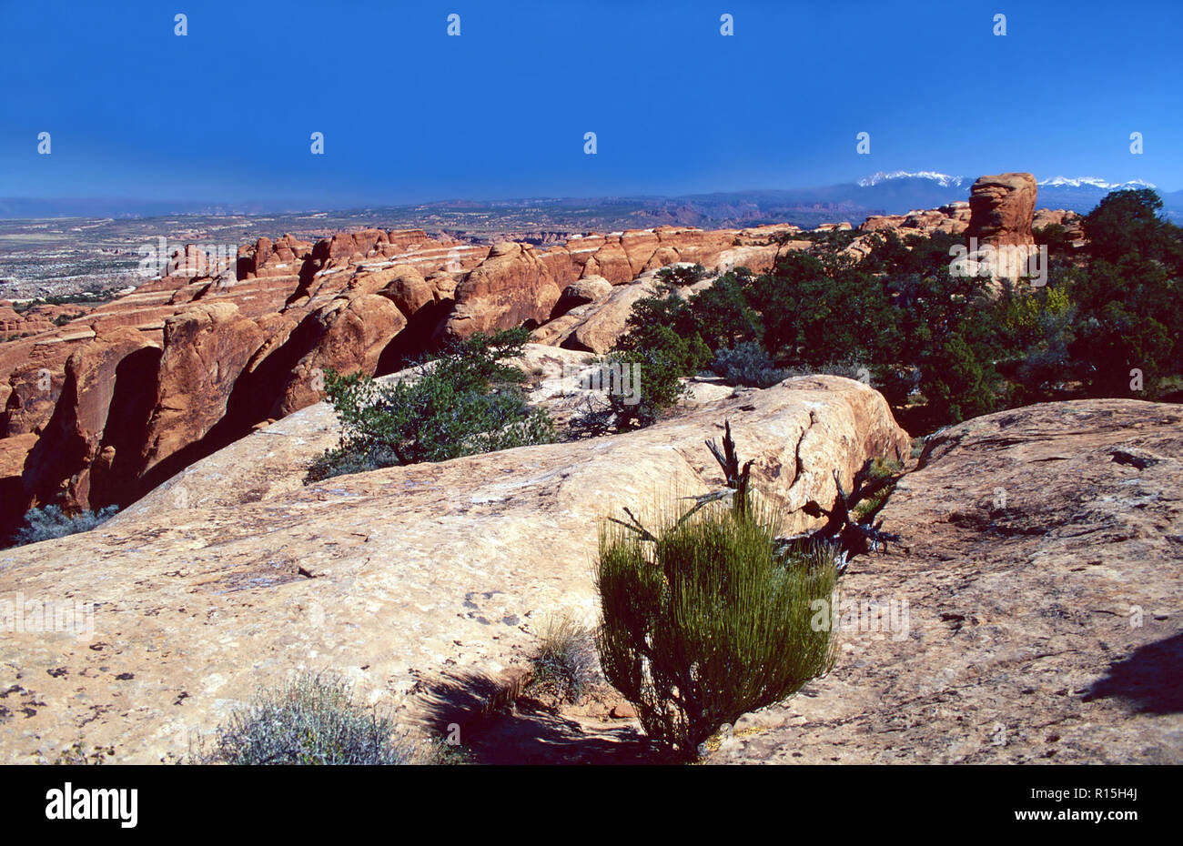 Fin Canyon,Arches National Park,Utah Stock Photo - Alamy