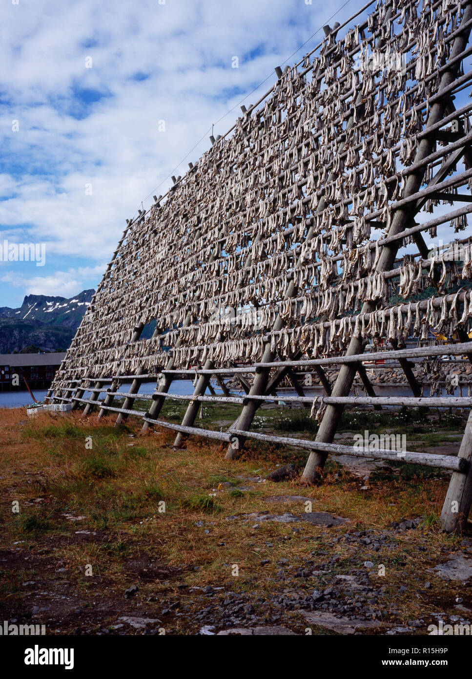 Hanging from racks hi-res stock photography and images - Alamy